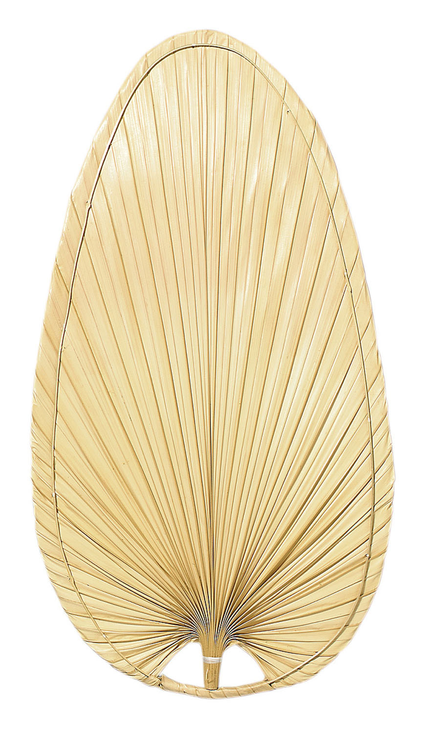 Fanimation ISP4 Blades Palm Blade Set Natural — ShoppersLighting
